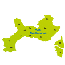 Qui sommes-nous ? - MASE FRANCE et INTERNATIONAL