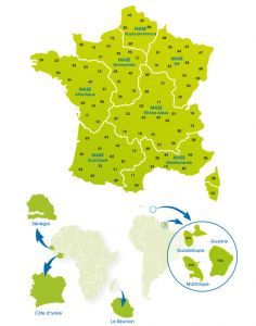 MASE FRANCE et INTERNATIONAL